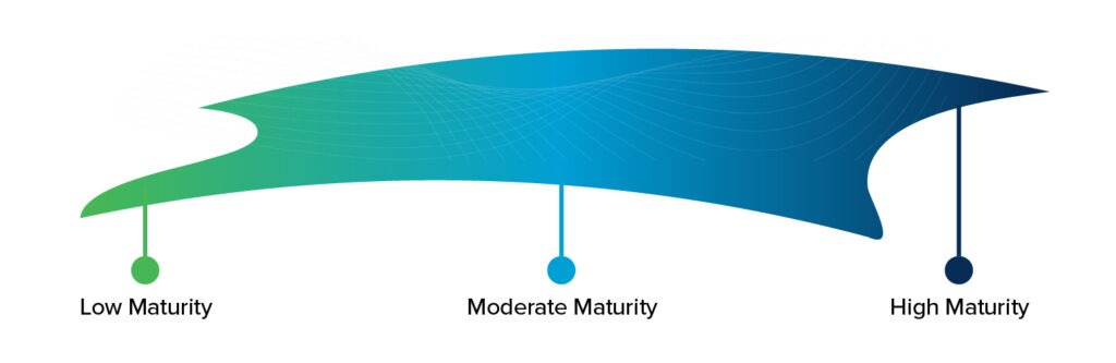 Developing Along the SEO Maturity Spectrum